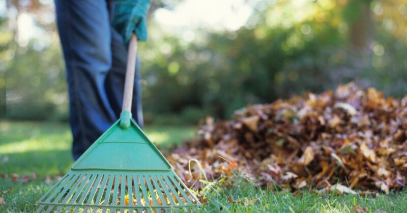 6 Smart Ways To Deal With Yard Waste - Dream Homes Exteriors